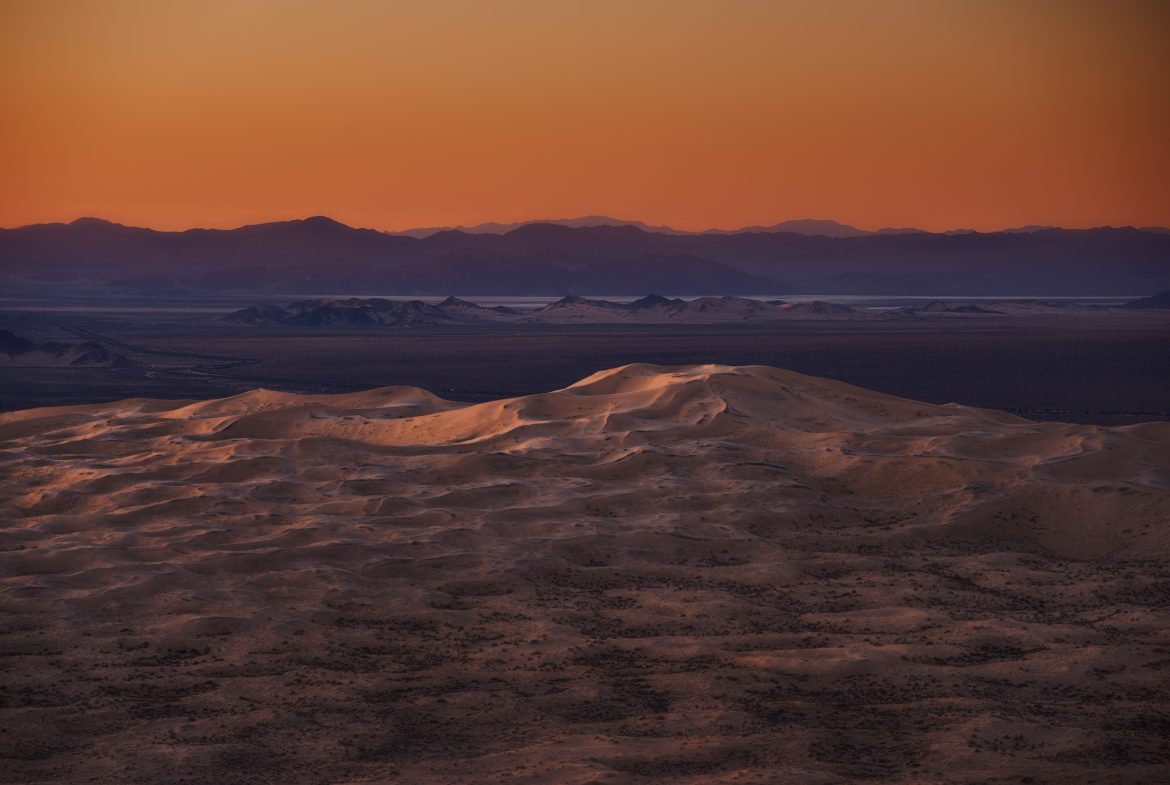 Dune Day | Brandon O'Neal